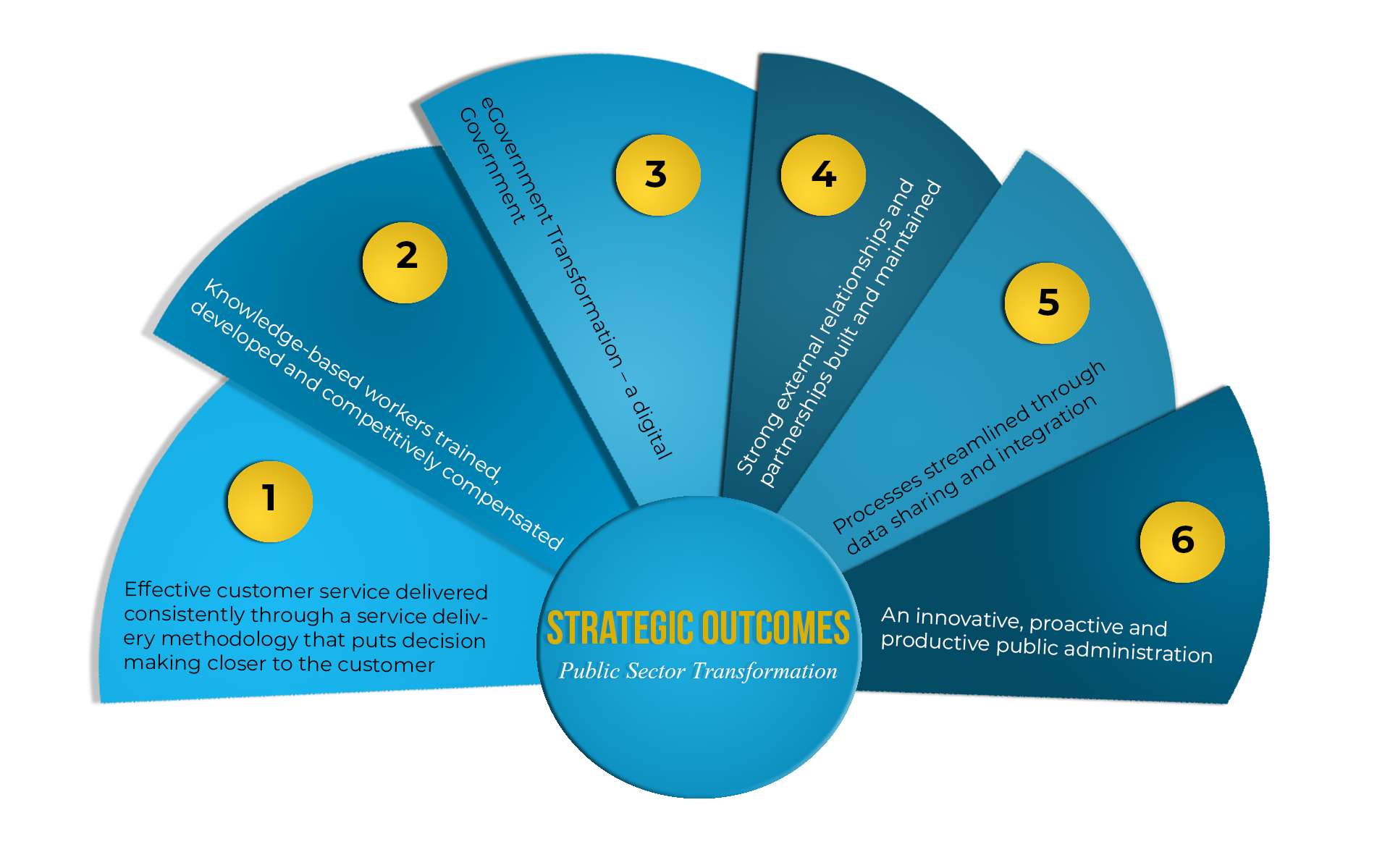 Public Sector Transformation - Transformation Implementation Unit (TIU)